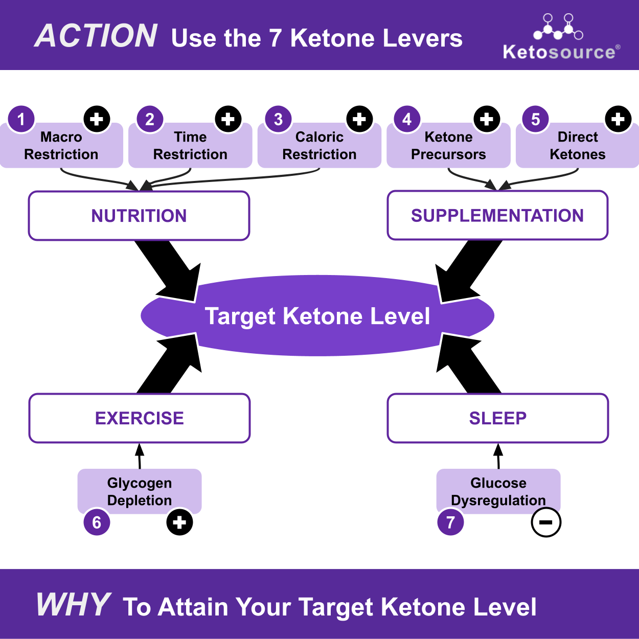 KET-ONE: The Fasting Mimicking Diet Vs. Body Composition, Use the 7 ...